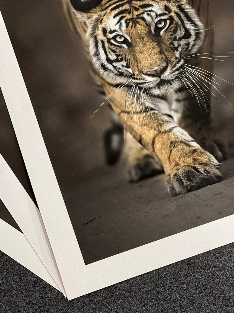 Fine Art Printing | Art Printing Service | Professional Art Printing